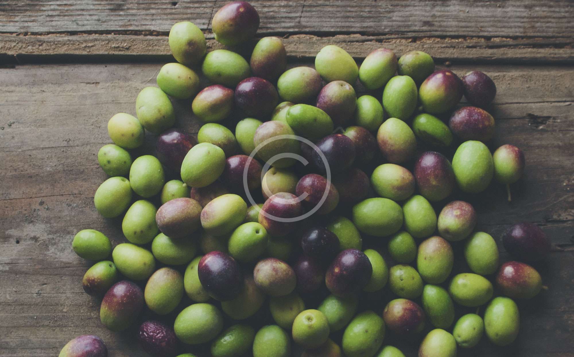 10 Secrets Of Olive Oil Alonso Olive Oil 10 Secrets Of Olive Oil Alonso Olive Oil