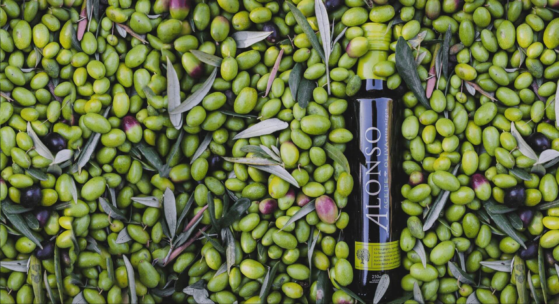 Home - Alonso Olive Oil